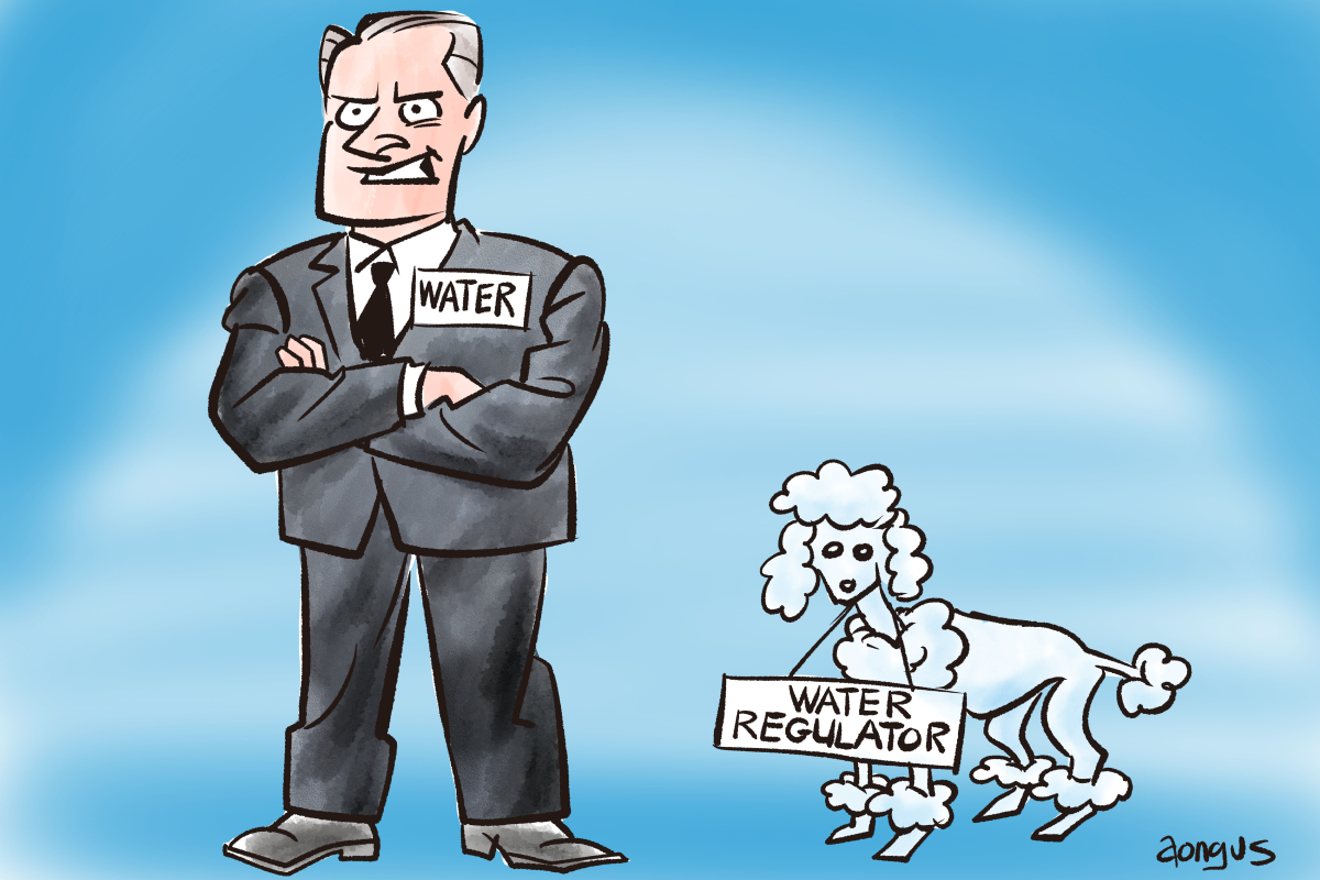WHY NEW REGULATORS ARE NEEDED – by the Planning PR guru